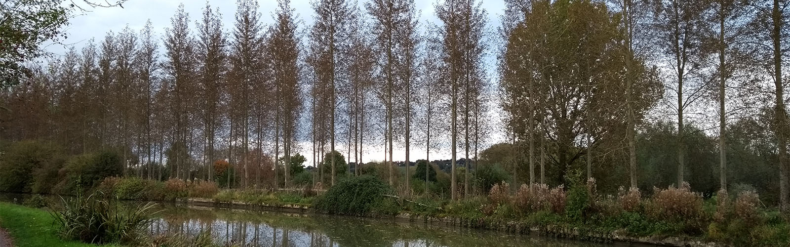 Grand Union (Norton Junction to Marsworth) - CanalsOnline Magazine