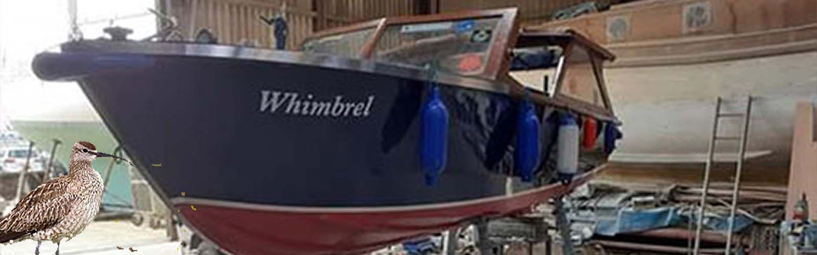 whimbrel - CanalsOnline Magazine